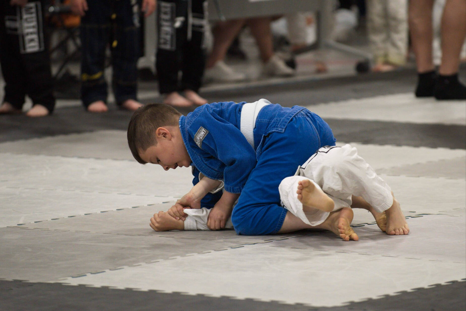 Brazilian Jiu-Jitsu Fight Club NE Calgary | BJJFC
